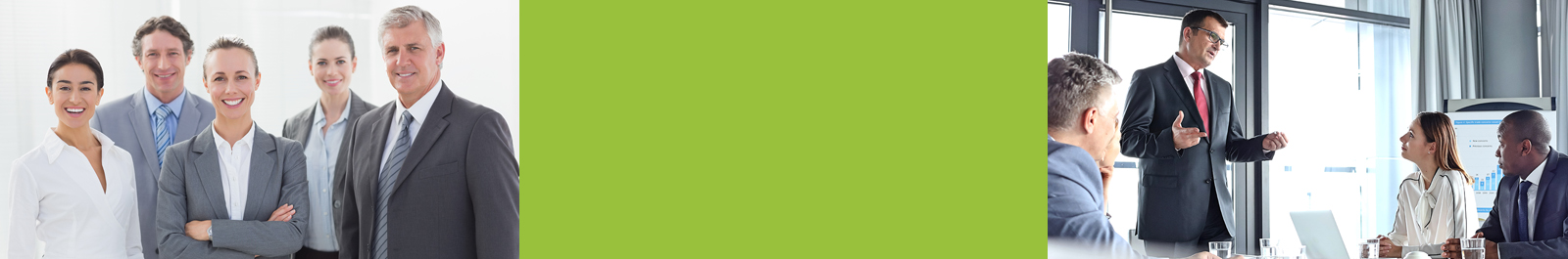 Fractional Solutions | Landrum Talent Solutions